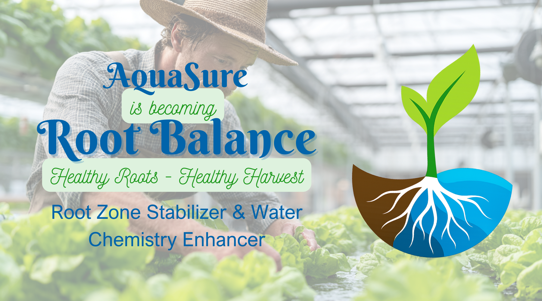 AquaSure Becoming Root Balance – UGrowFood Inc.